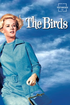 Movies - watch online » sweet.tv